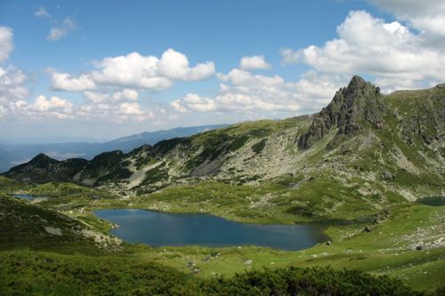 Chess player mischo (from Bulgaria) - GameKnot