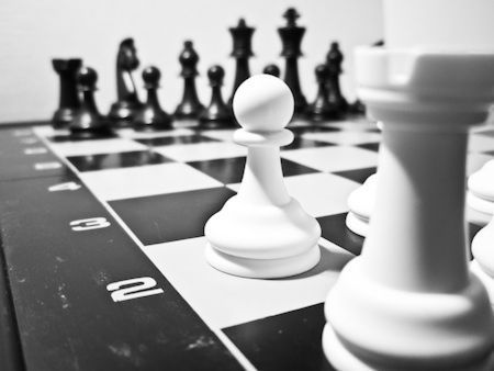 Chess player proginoskes (from Homeward Bound, United States) - GameKnot