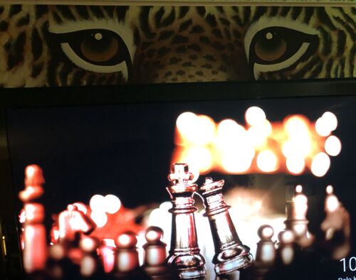 Chess player naturalone (Perry from United States) - GameKnot