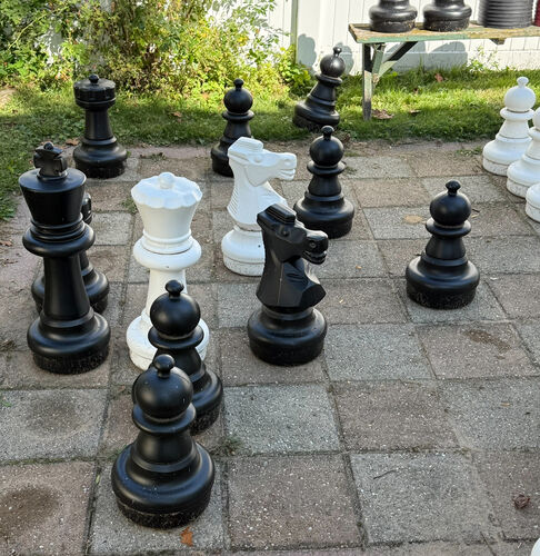 Chess player stevesmandala (Stephen from Escanaba, Michigan , United ...