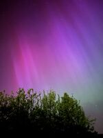 Chess player stevedorset (Steve from Dorset, United Kingdom) - GameKnot