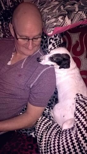 Chess player driver60 (Ian from United Kingdom) - GameKnot